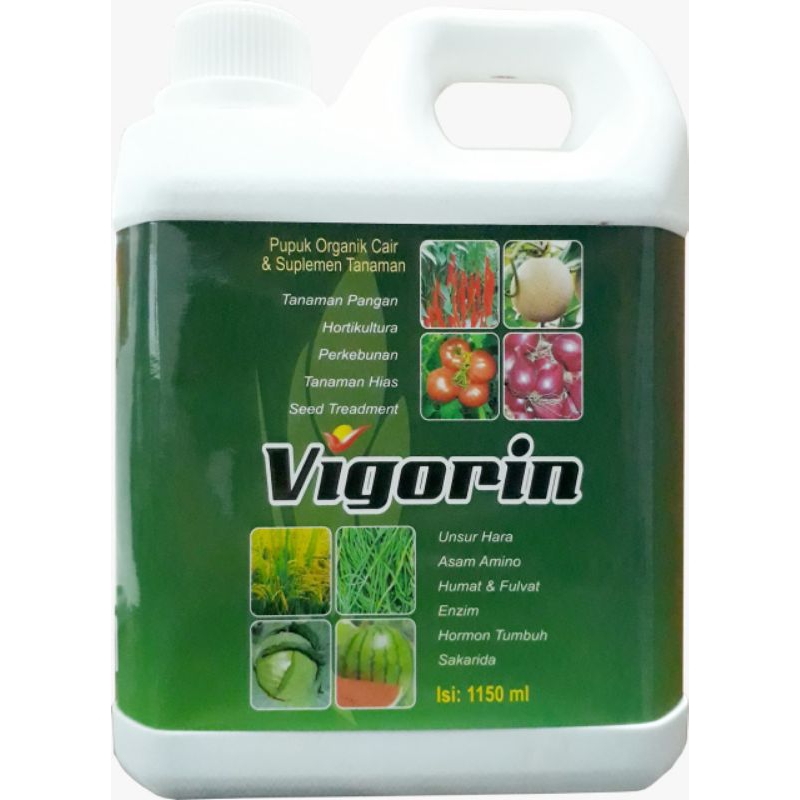 Harga Vigorin Terbaru Februari 2024 |BigGo Indonesia