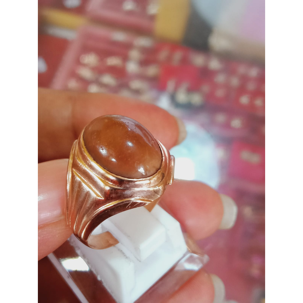 Harga Suasa Terbaru Desember 2023 |BigGo Indonesia