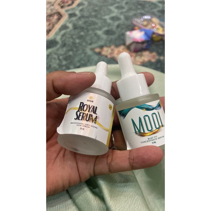 Harga Skinker Terbaru Apr 2025 | BigGo Indonesia