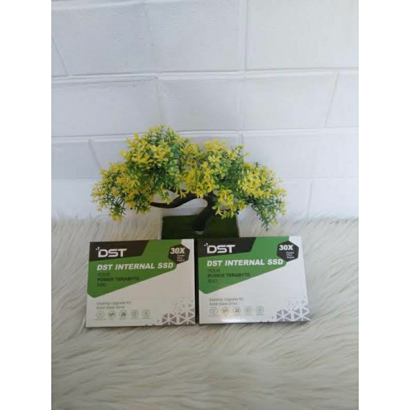 Harga dst ssd Terbaru Nov 2024 |BigGo Indonesia
