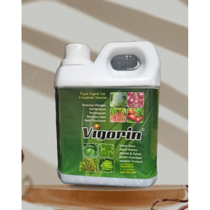 Harga Vigorin Terbaru Februari 2024 |BigGo Indonesia