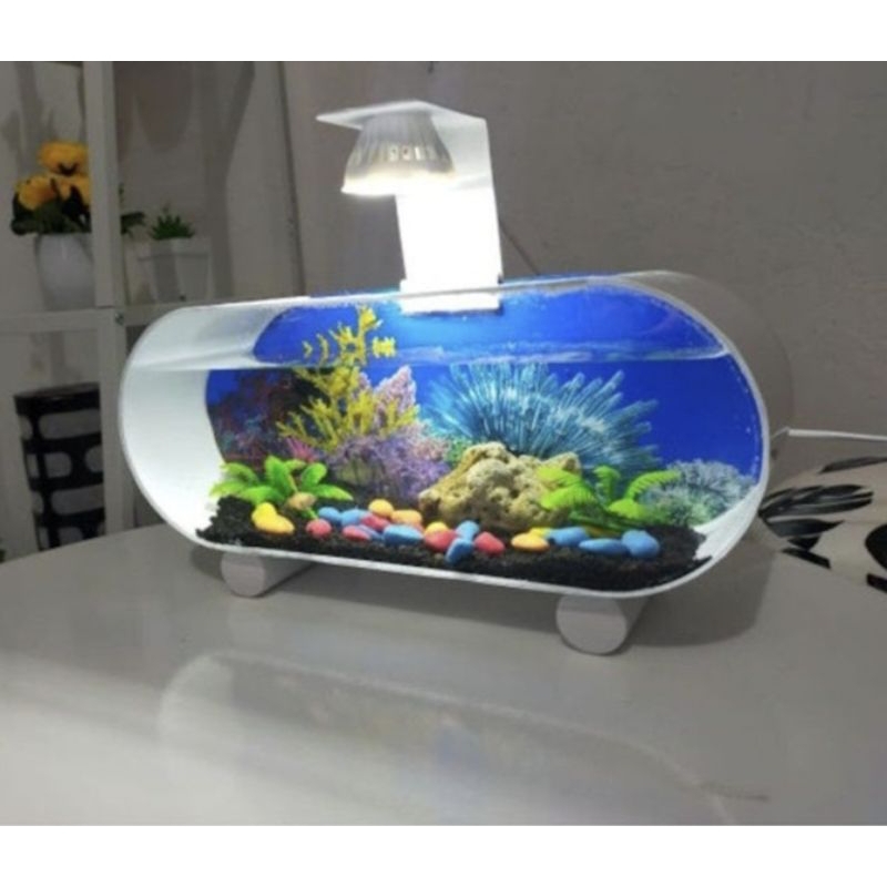 Harga Aquarium Mini Aesthetic Terbaru Okt 2024 |BigGo Indonesia