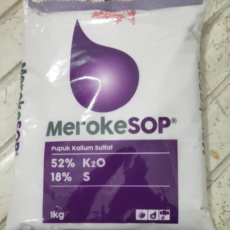 Harga meroke sop Terbaru Jun 2026 | BigGo Indonesia