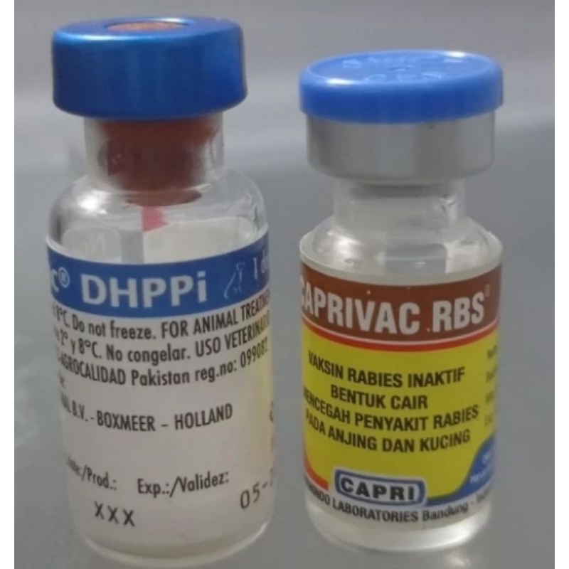 Harga Dhppi Terbaru Agustus 2024 |BigGo Indonesia