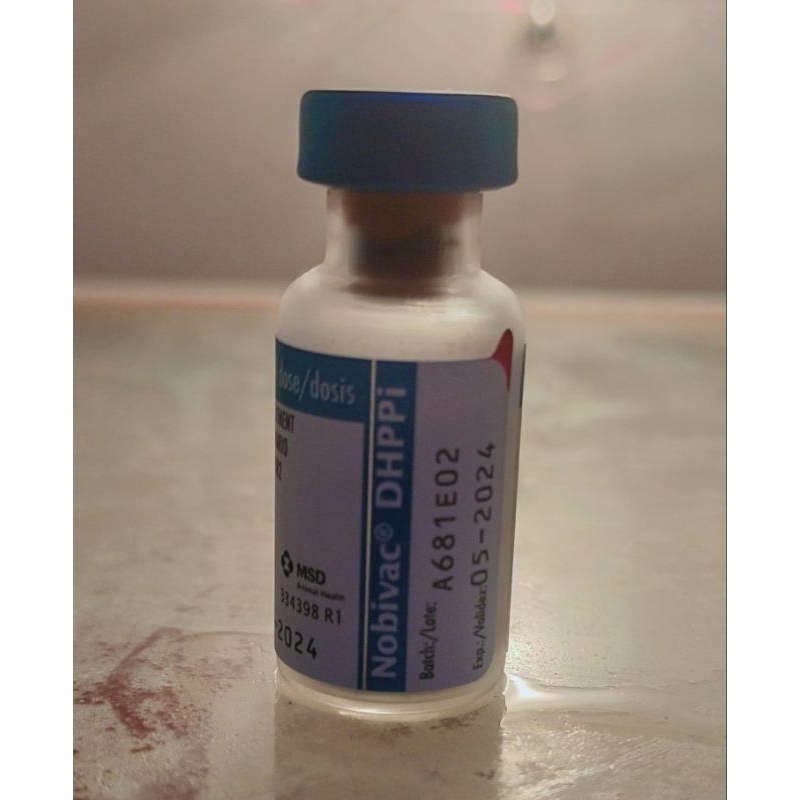 Harga Dhppi Terbaru Juni 2023 |BigGo Indonesia