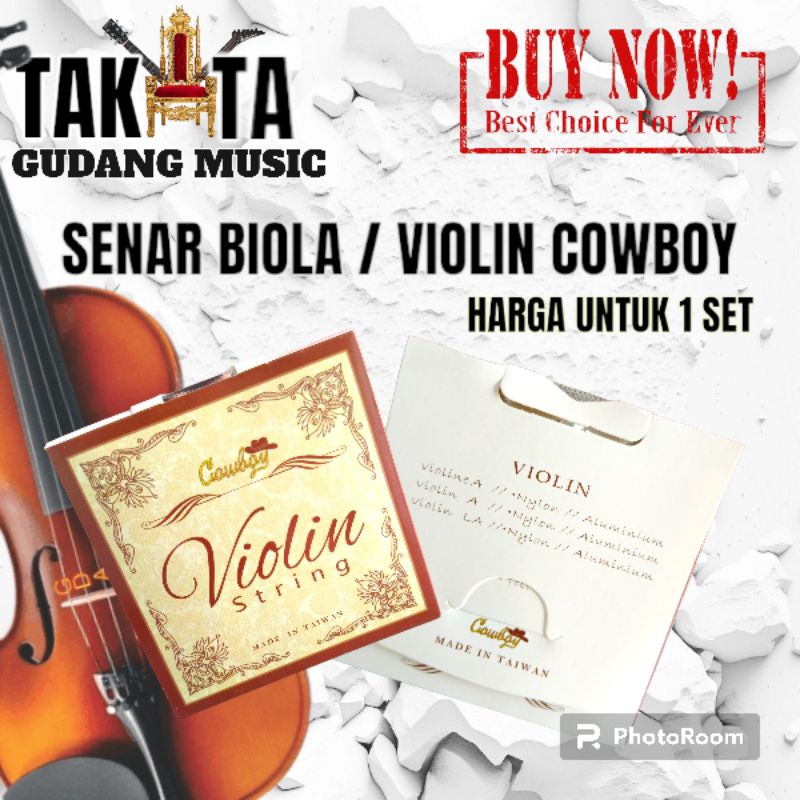 Harga Biola Original Terbaru Jan 2026 | BigGo Indonesia