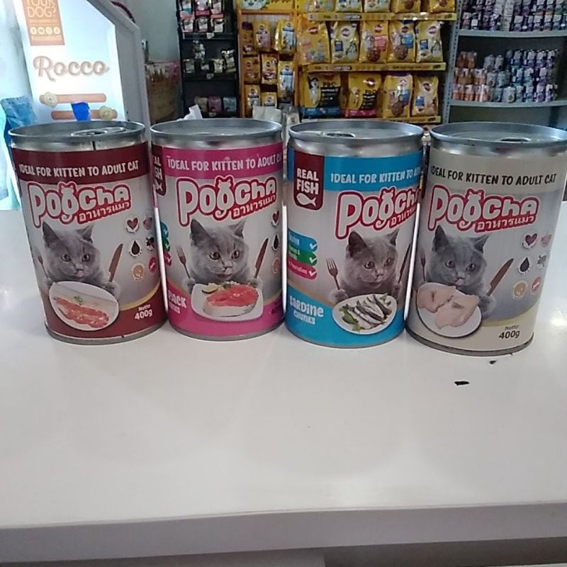 Harga poocha Terbaru Sep 2025 | BigGo Indonesia