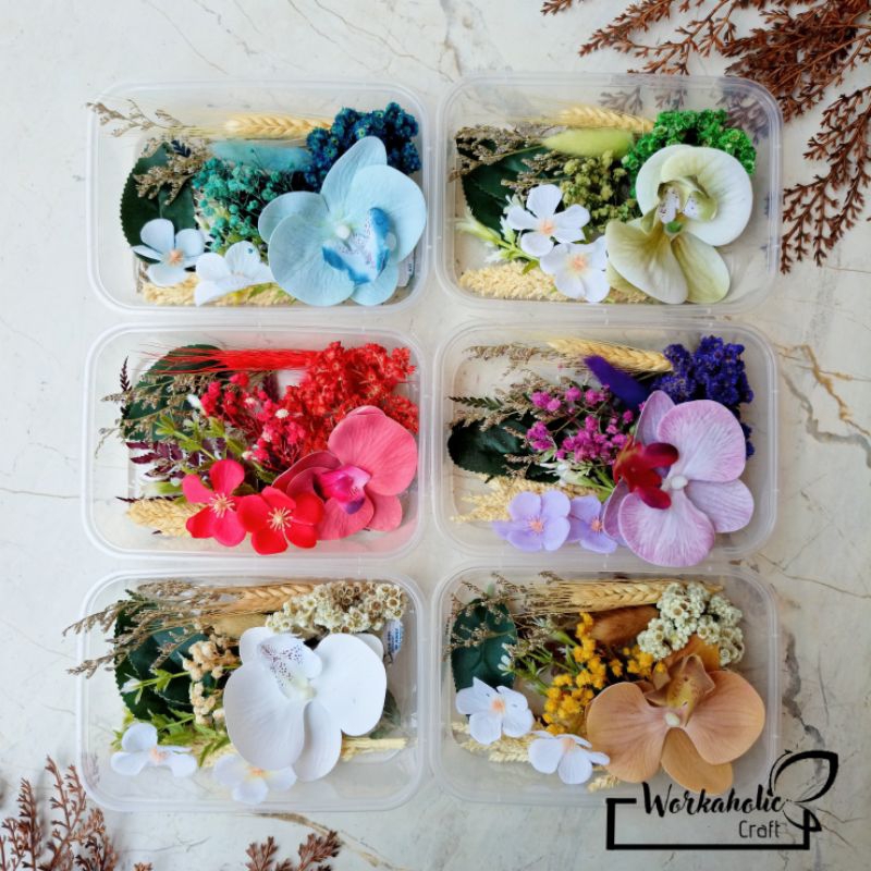 Harga Bunga Anggrek Hiasan Mahar Terbaru Mar 2025 | BigGo Indonesia