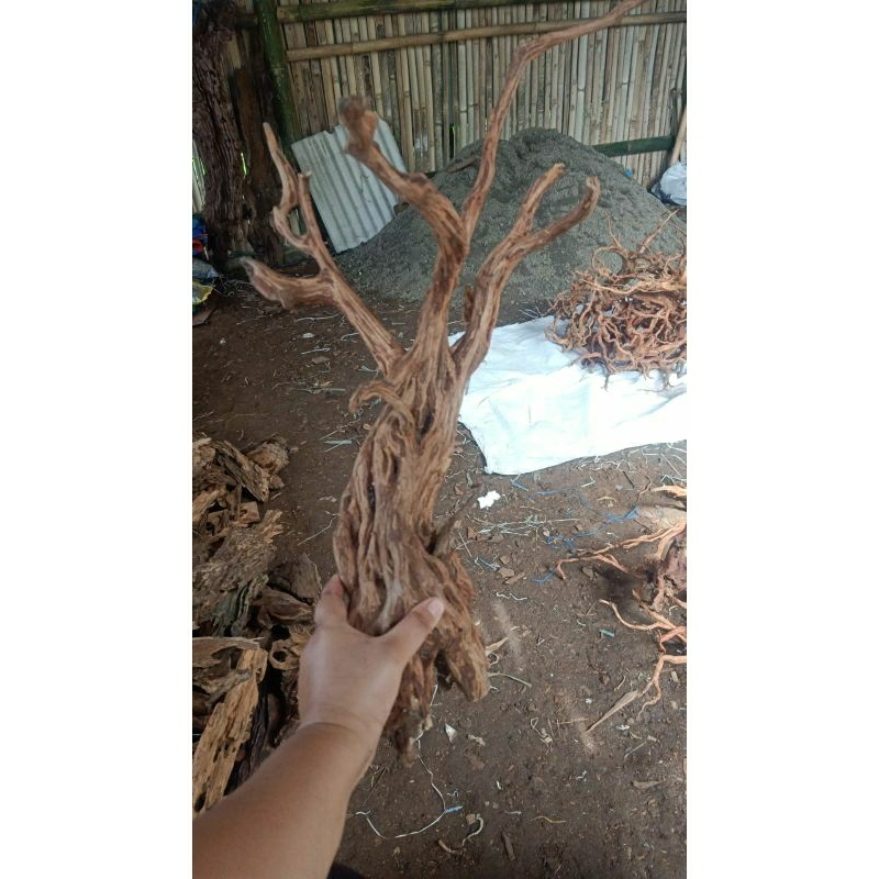 Harga Rasamala Grade Terbaru Mei 2025 | BigGo Indonesia