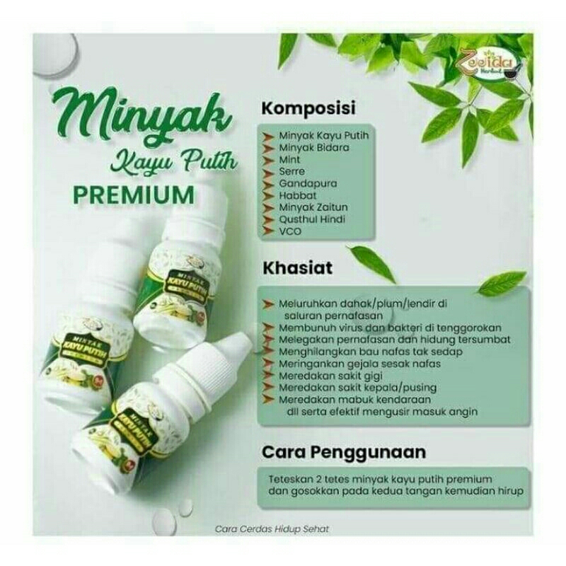 Harga Zeeida Terbaru Jul 2025 | BigGo Indonesia