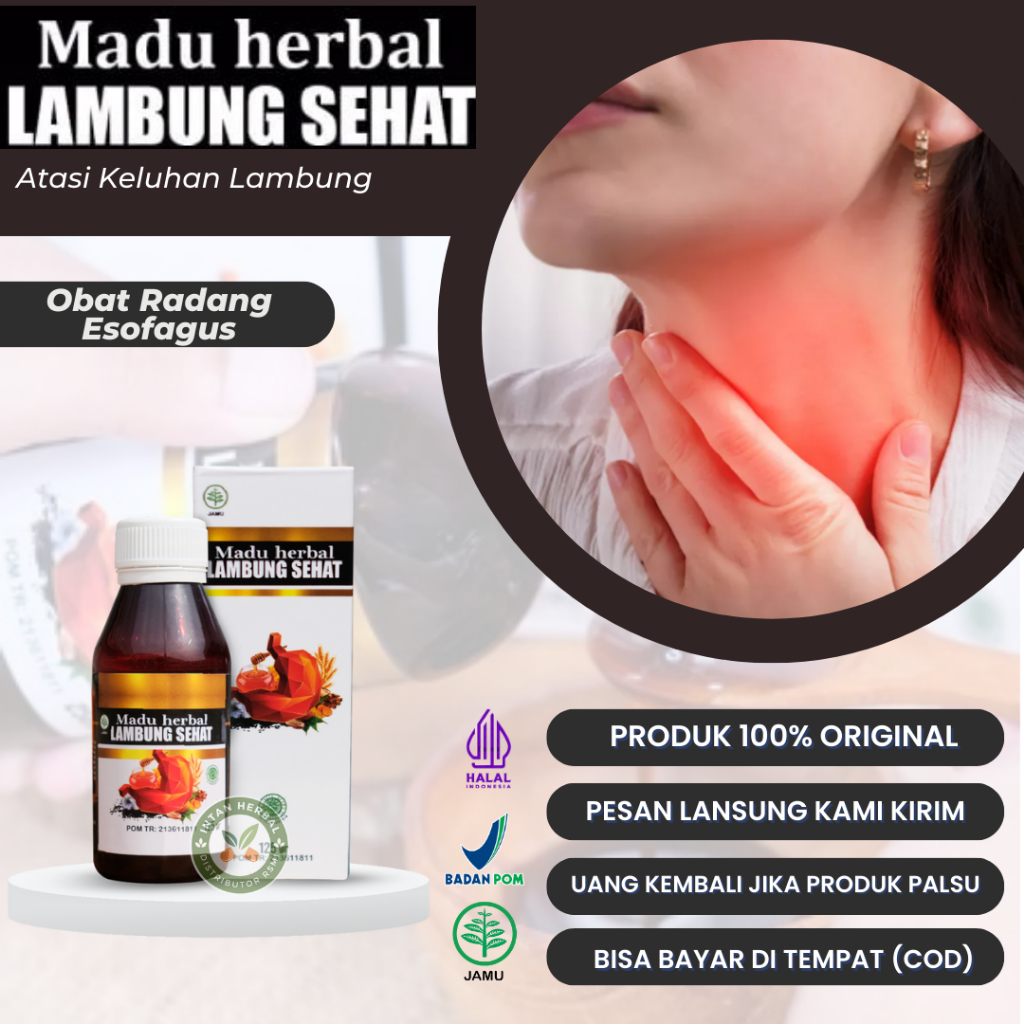 Harga esofagus Terbaru Mei 2025 | BigGo Indonesia