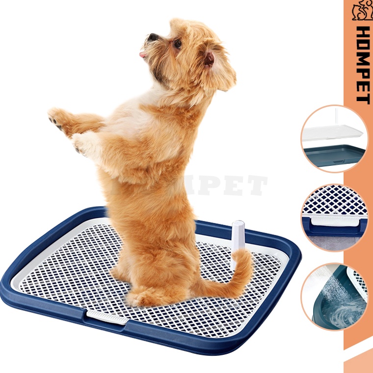 Harga 2 poop Terbaru Mei 2025 | BigGo Indonesia