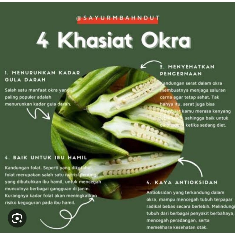Harga okra 1 kg Terbaru Agt 2024 |BigGo Indonesia