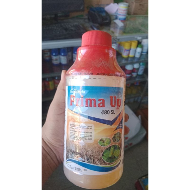 Harga Prima Up 1 liter Terbaru Okt 2025 | BigGo Indonesia