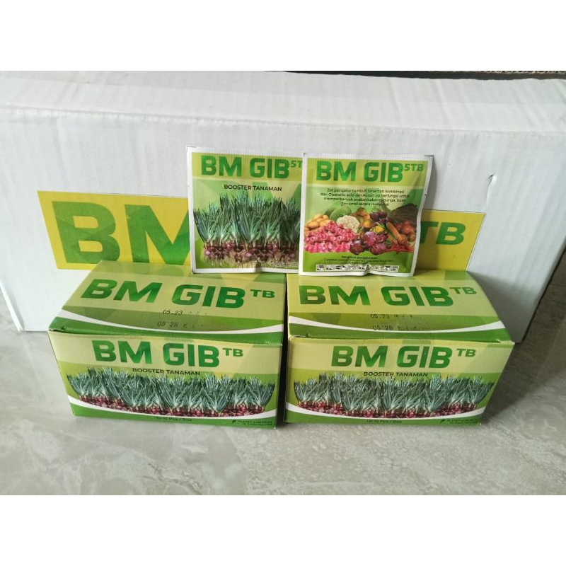 Harga bm gib Terbaru Sep 2024 |BigGo Indonesia
