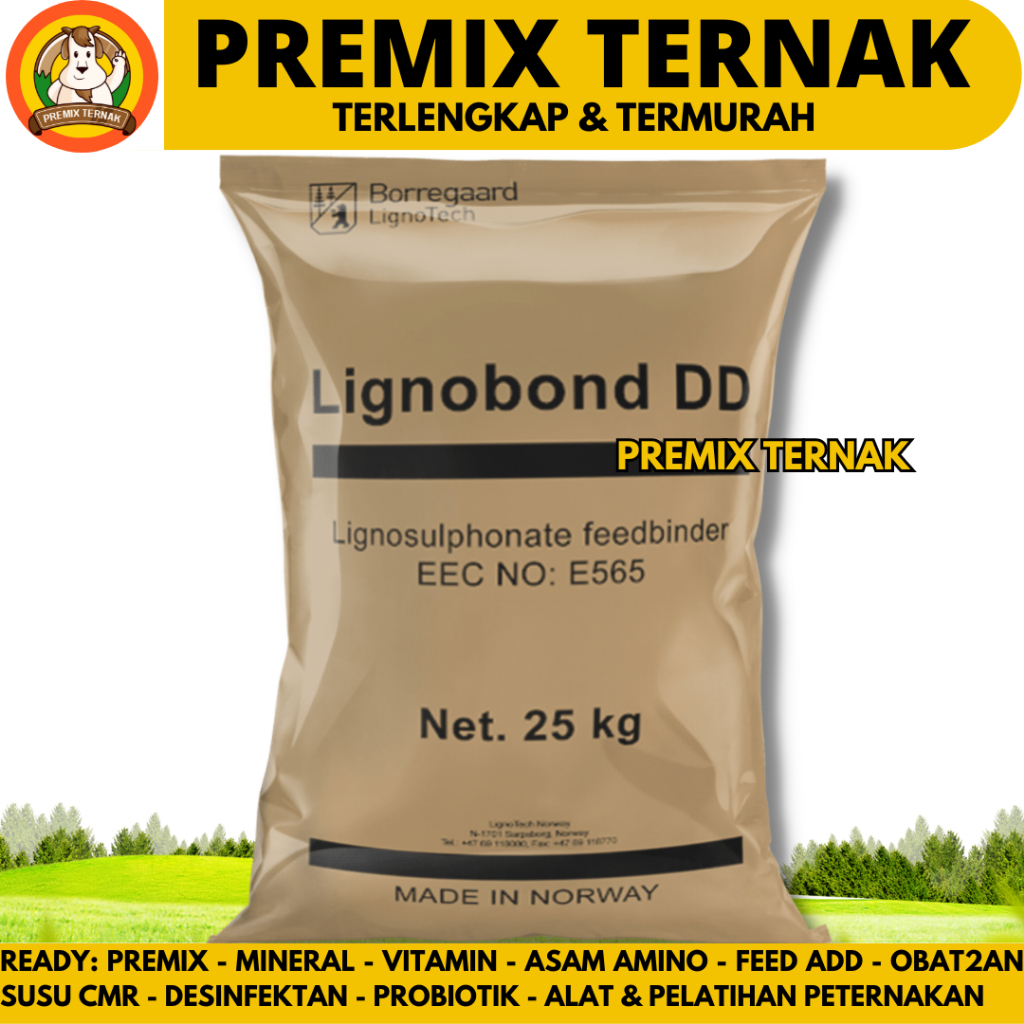 Harga Progol Terbaru Agustus 2024 |BigGo Indonesia