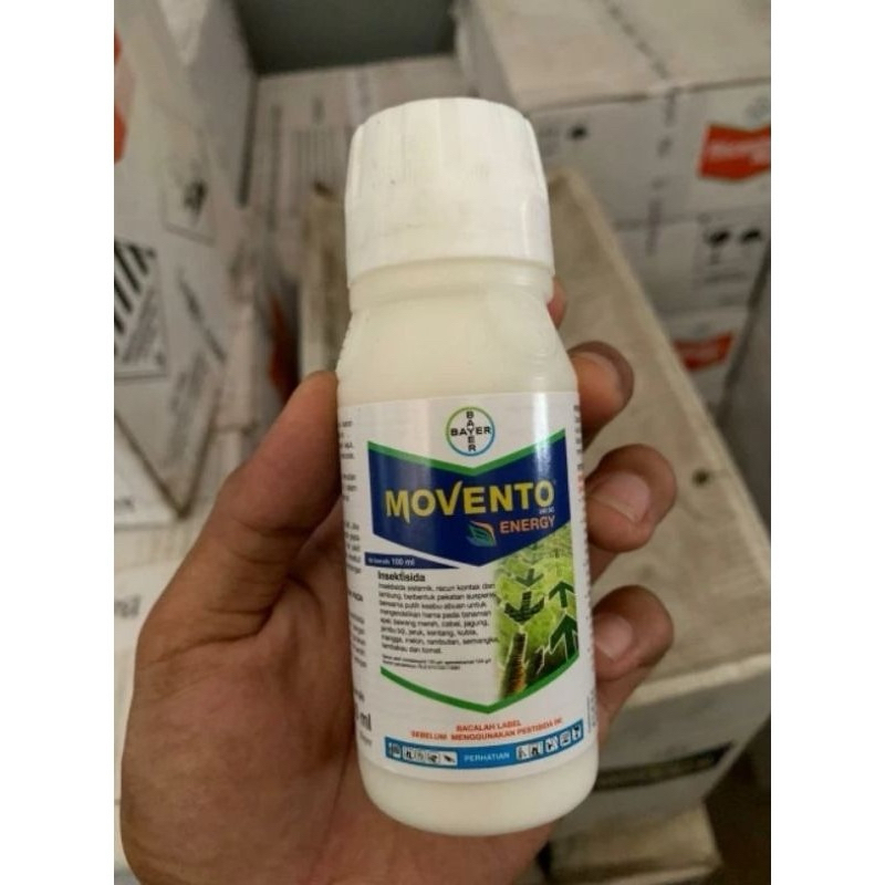 Harga Movento Bayer Terbaru Jun 2026 | BigGo Indonesia