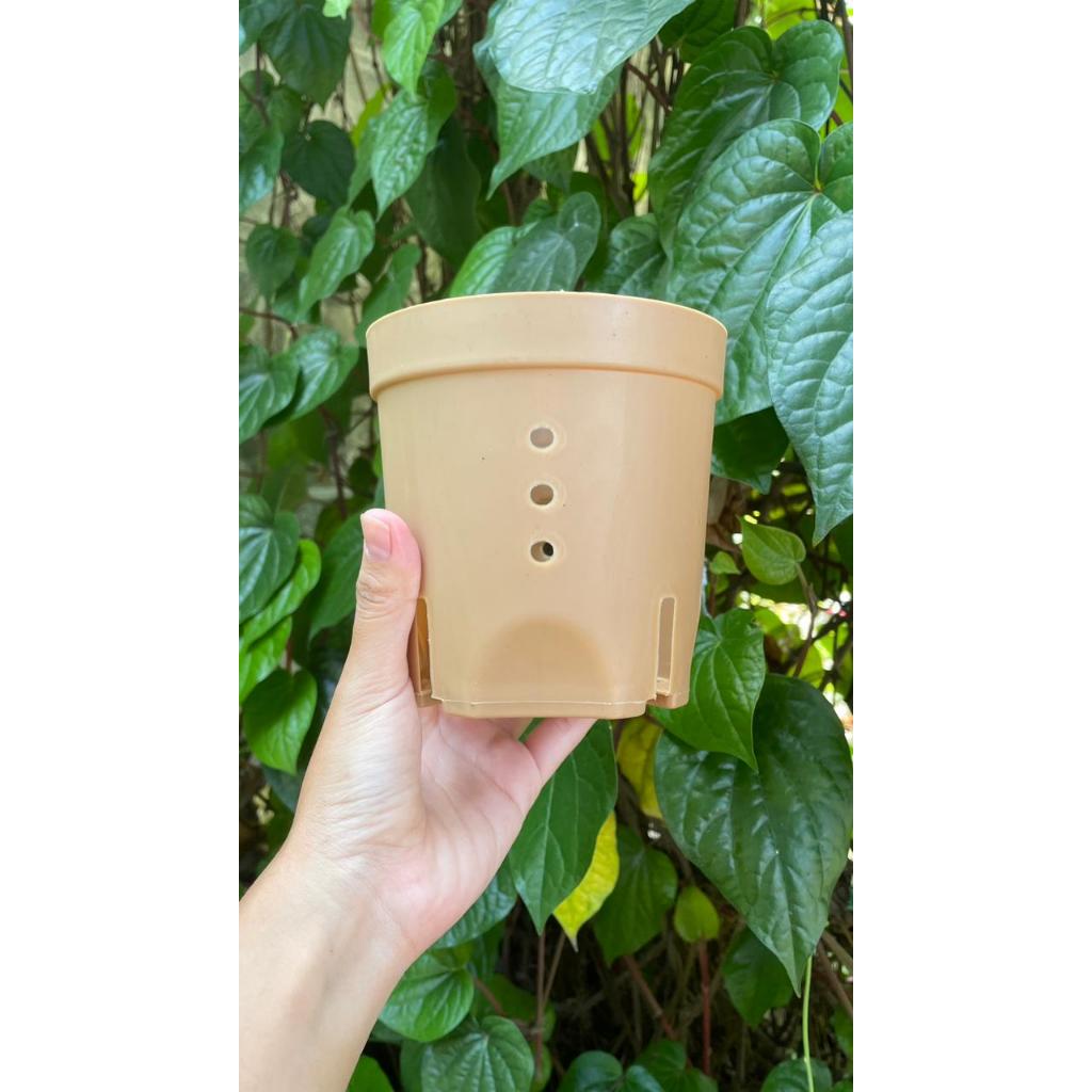 Harga POT Kita Terbaru Feb 2025 | BigGo Indonesia