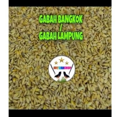 Harga gabah 500gr Terbaru Mar 2025 | BigGo Indonesia