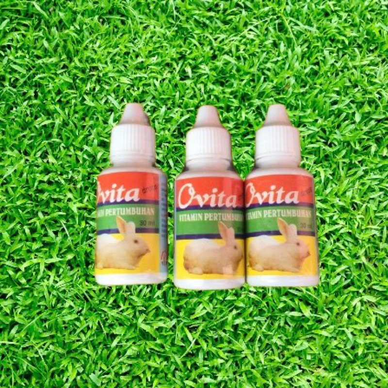 Harga keovita Terbaru Agt 2025 | BigGo Indonesia