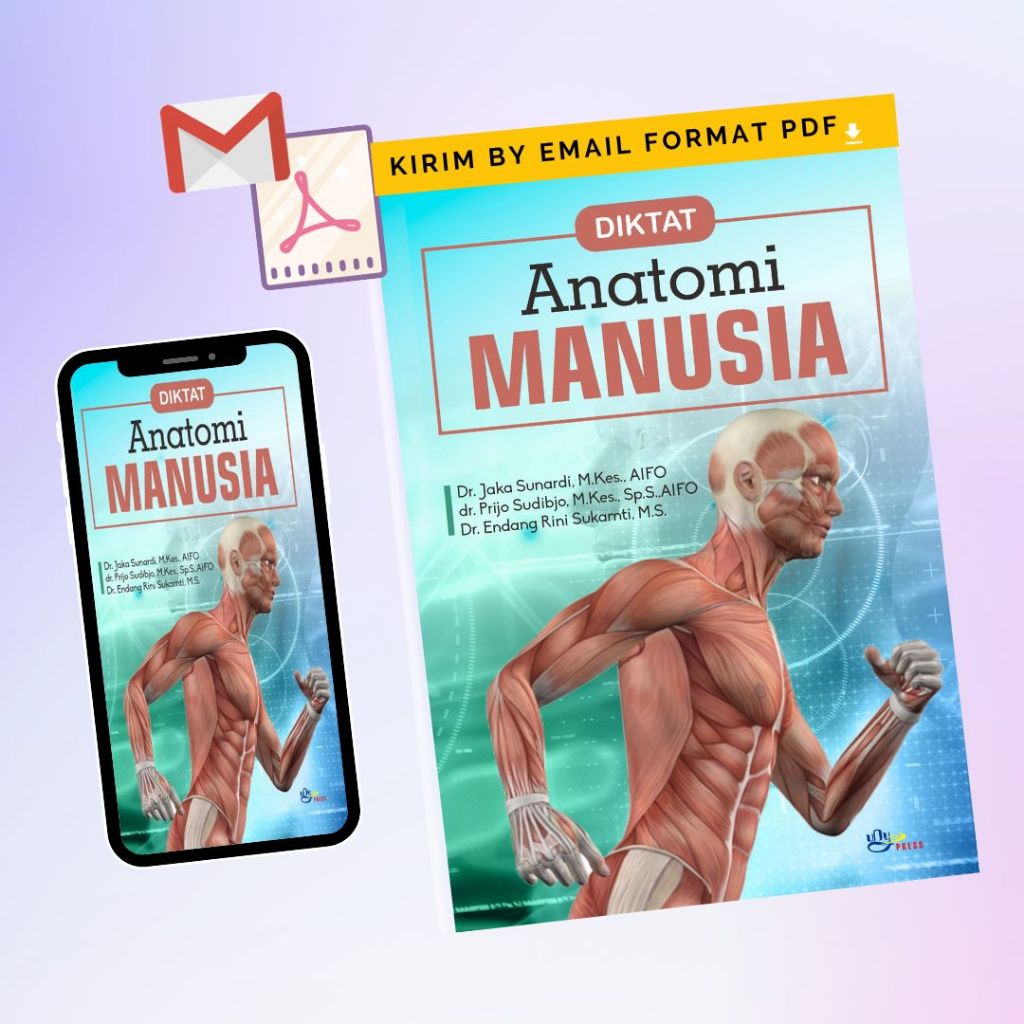 Pemahaman Mendalam Anatomi Manusia | pgmall