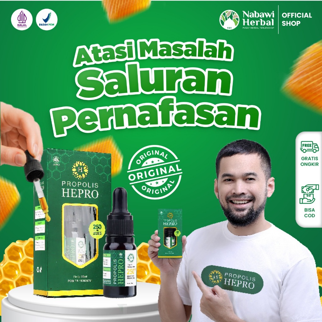 Harga Propolis Trigona Indonesia Terbaru Mar 2025 | BigGo Indonesia