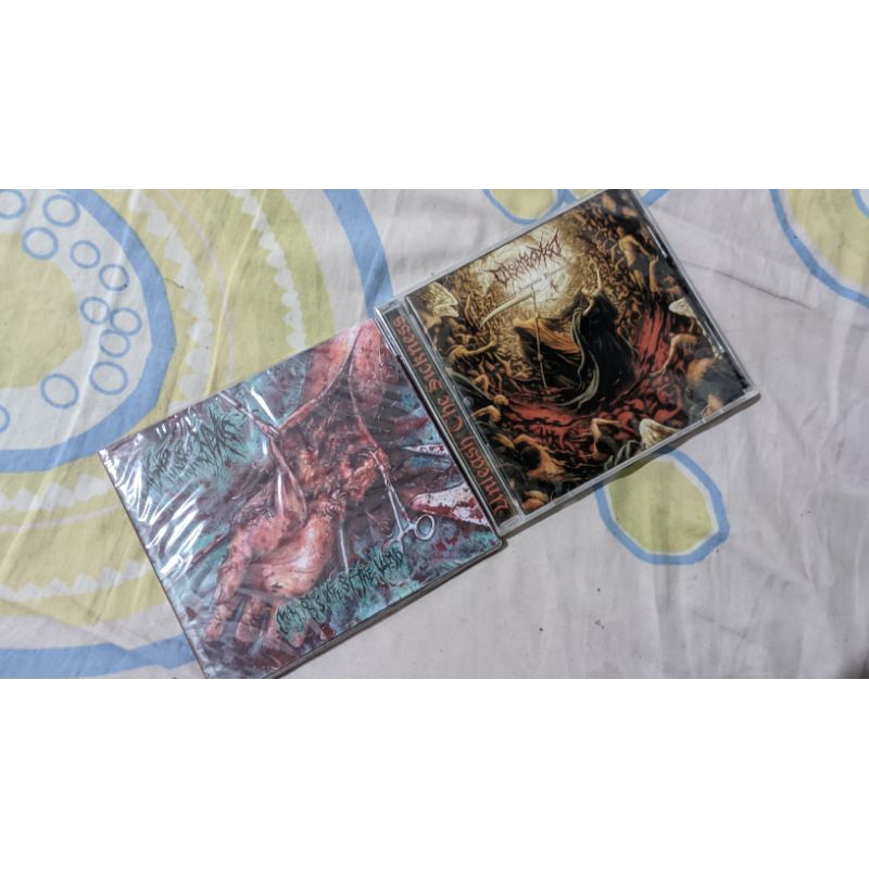 Harga Hysterorrhexis Terbaru November 2023 |BigGo Indonesia