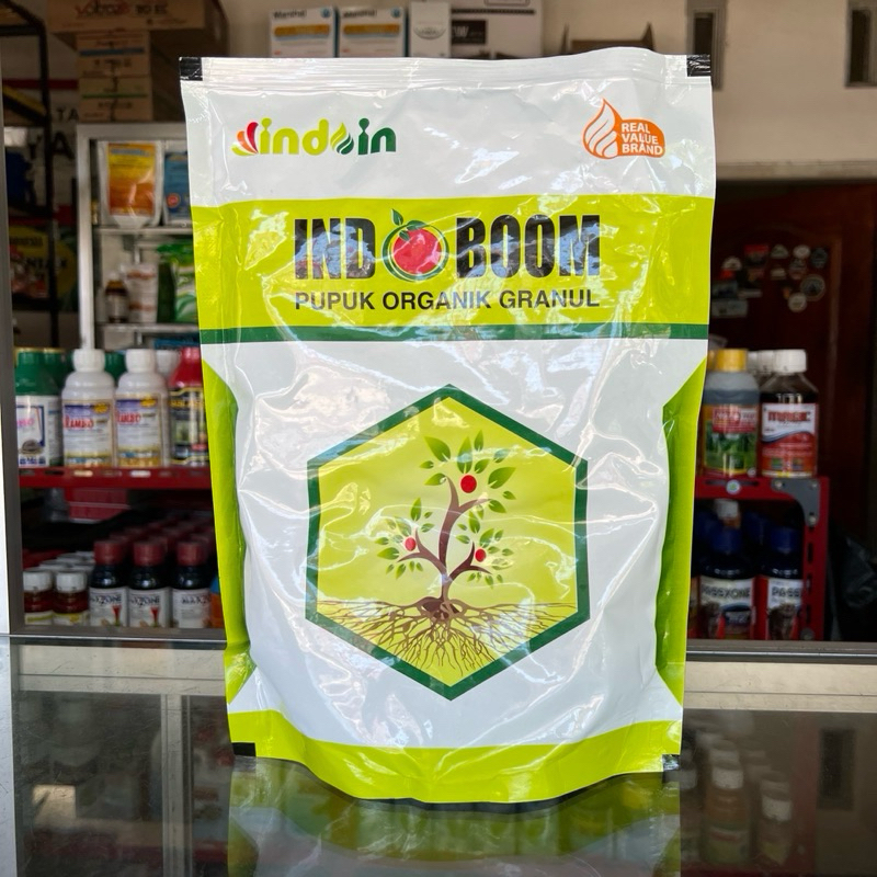 Harga indoin Terbaru Sep 2025 | BigGo Indonesia