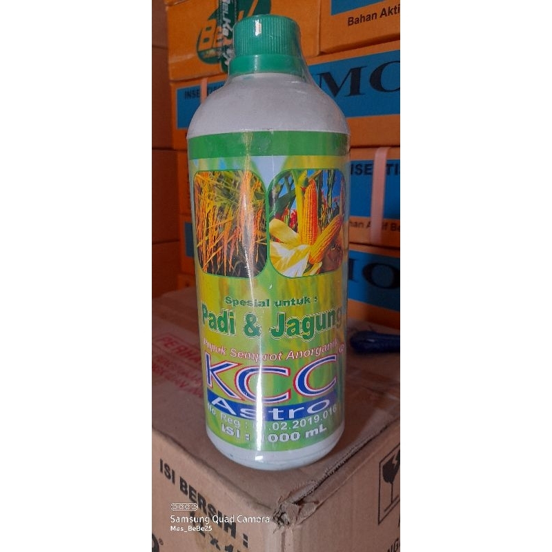 Harga kcc Terbaru Sep 2024 |BigGo Indonesia