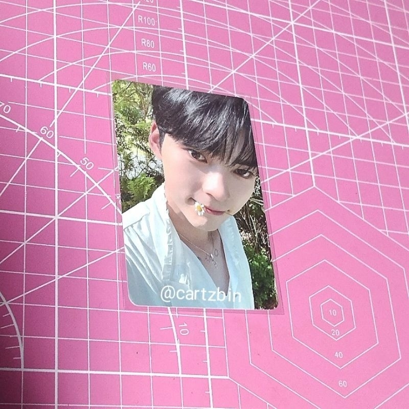 Harga Zerobaseone PC Official Terbaru Desember 2023 |BigGo Indonesia