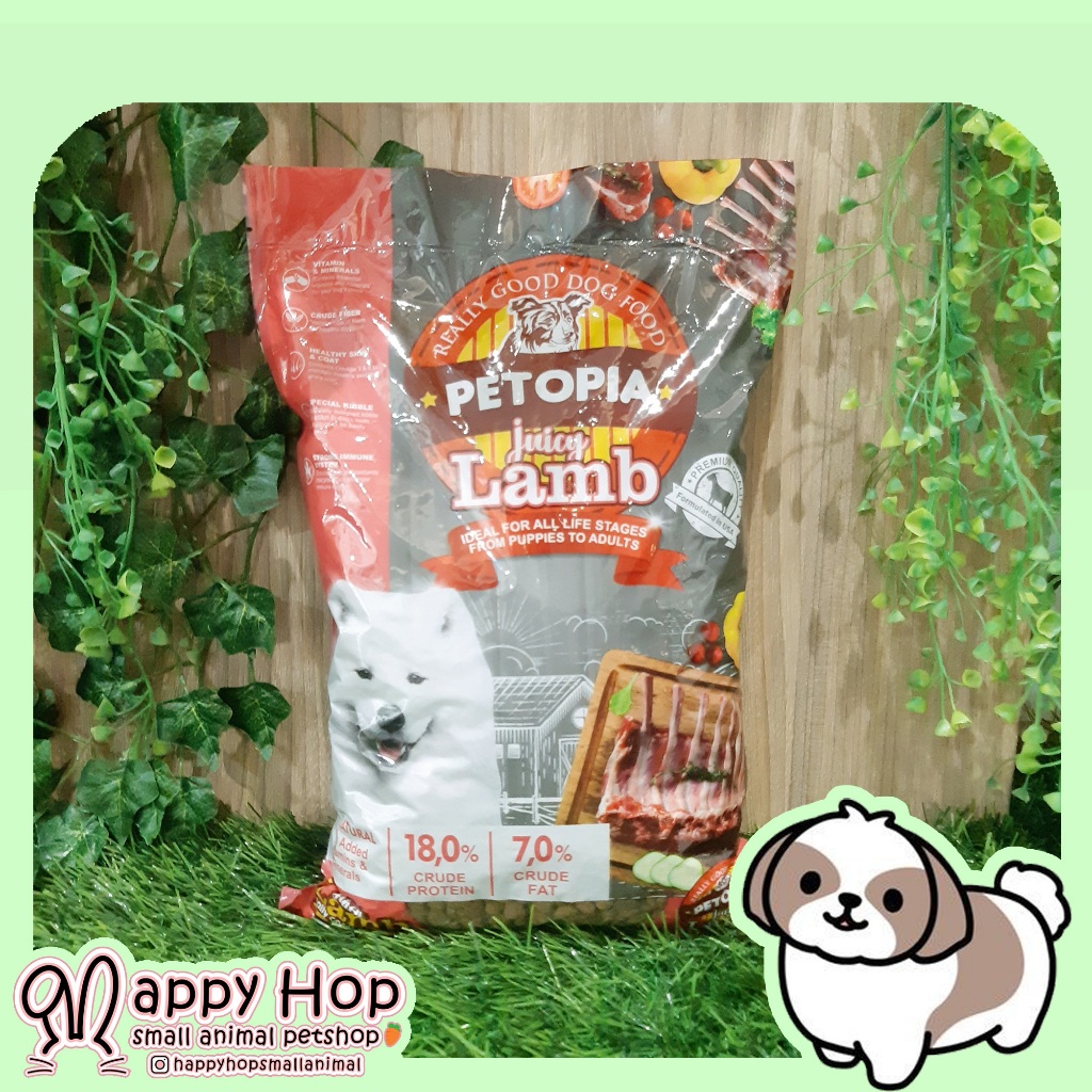 Harga petopia dog 1kg Terbaru Des 2025 | BigGo Indonesia