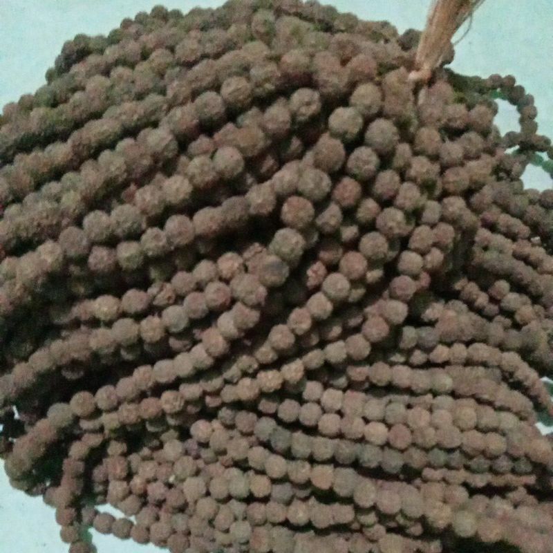 Harga bahan tasbih jenitri Terbaru Jun 2026 | BigGo Indonesia