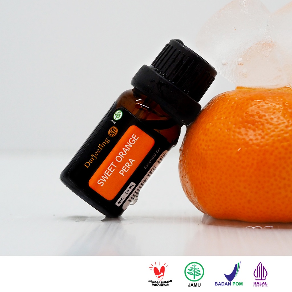 Harga pera Terbaru Nov 2024 |BigGo Indonesia