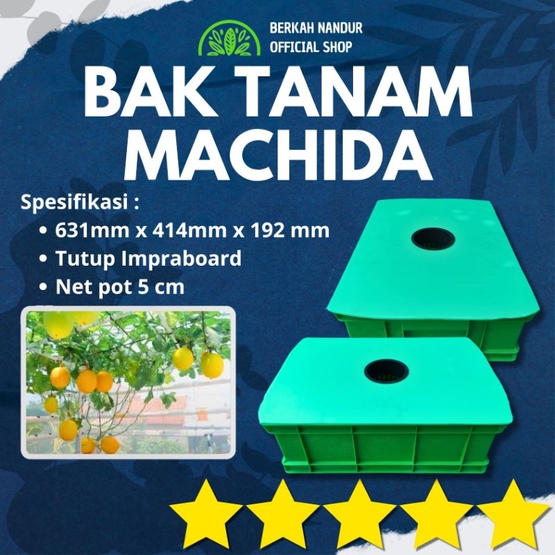 Harga machida hidroponik Terbaru Okt 2025 | BigGo Indonesia