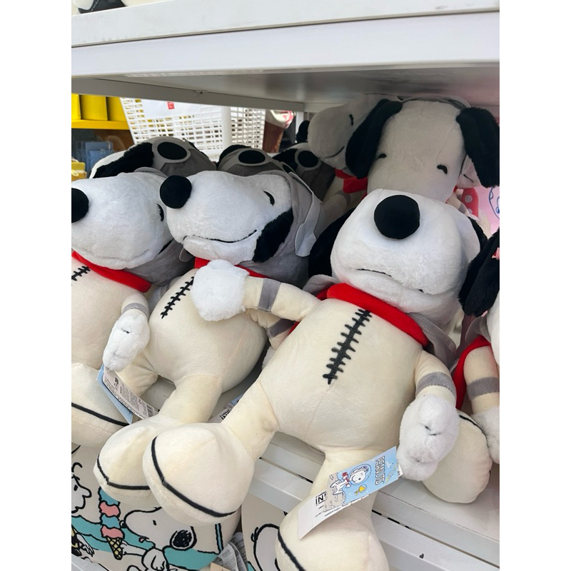 Harga explorer miniso Terbaru Nov 2024 |BigGo Indonesia