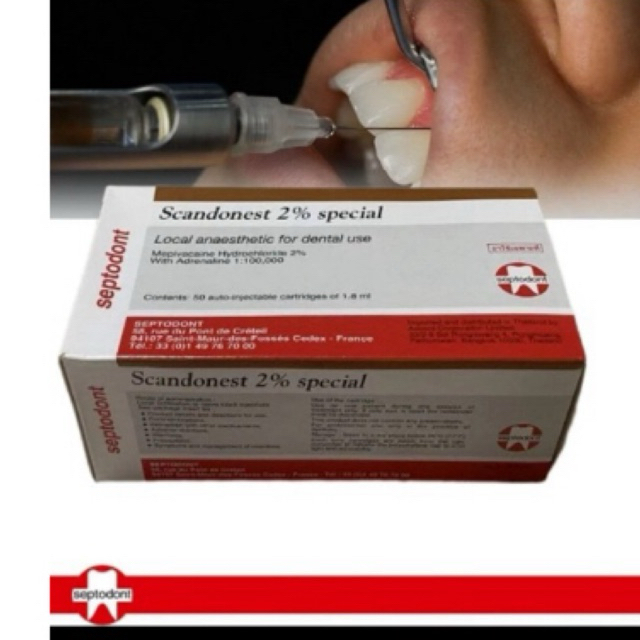 Harga scandonest Terbaru Okt 2025 | BigGo Indonesia