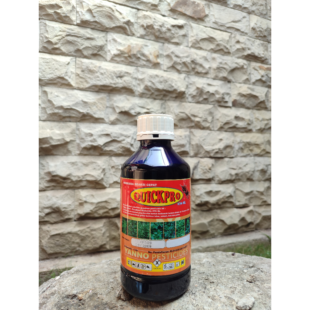 Harga quickpro Terbaru Des 2024 |BigGo Indonesia