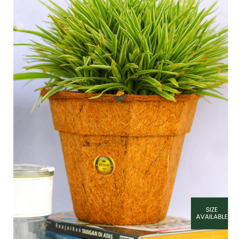 Harga pot bunga besar estetik Terbaru Agt 2025 | BigGo Indonesia