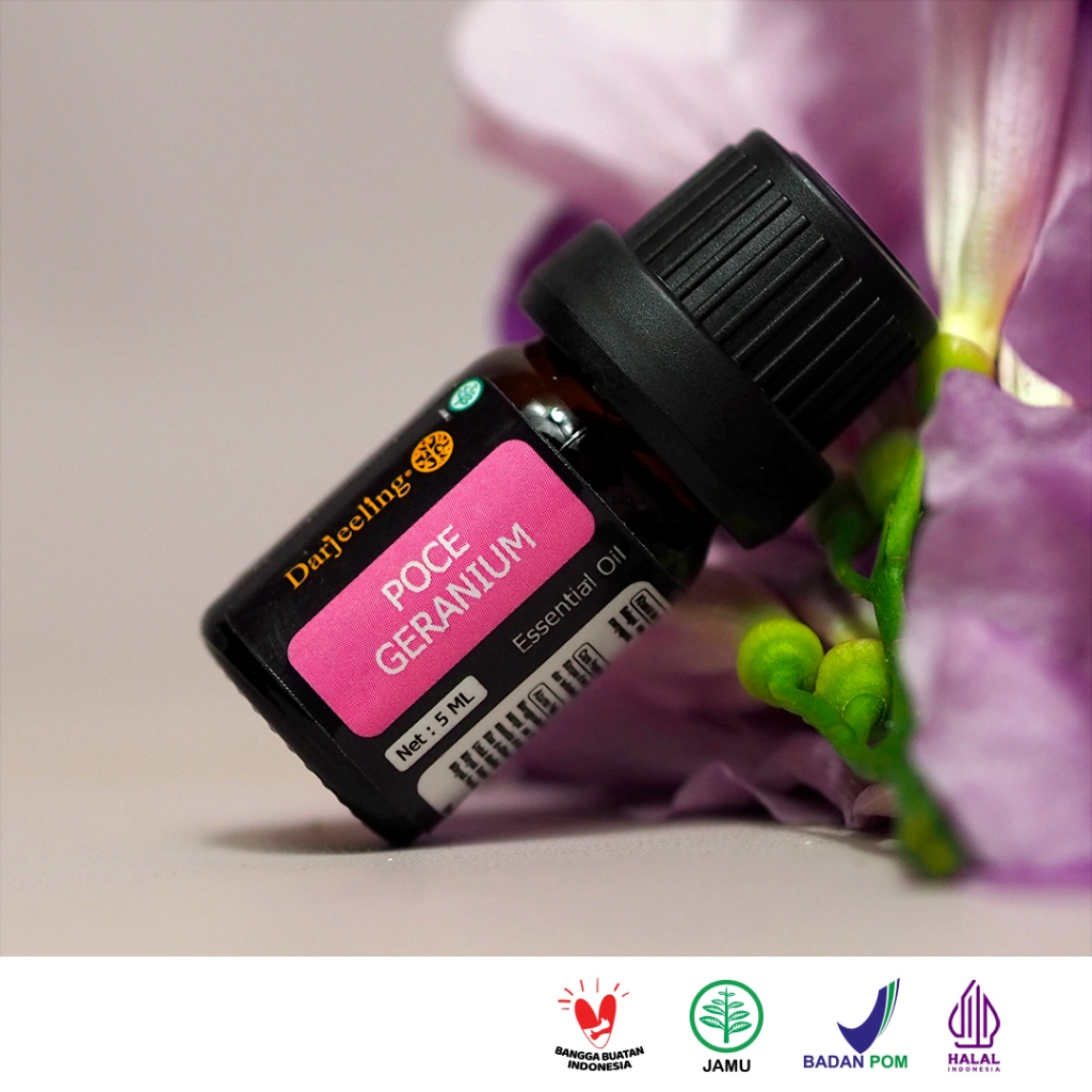 Harga atsiri geranium Terbaru Jan 2025 |BigGo Indonesia