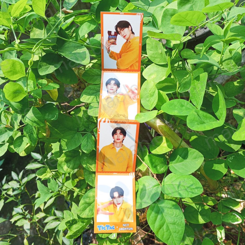 Harga 4cuts nct jaehyun tictac Terbaru Agt 2025 | BigGo Indonesia