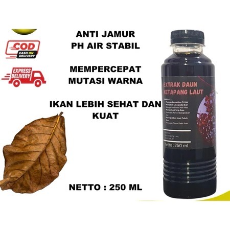 Harga Daun Aquarium Channa Terbaru Jun 2026 | BigGo Indonesia
