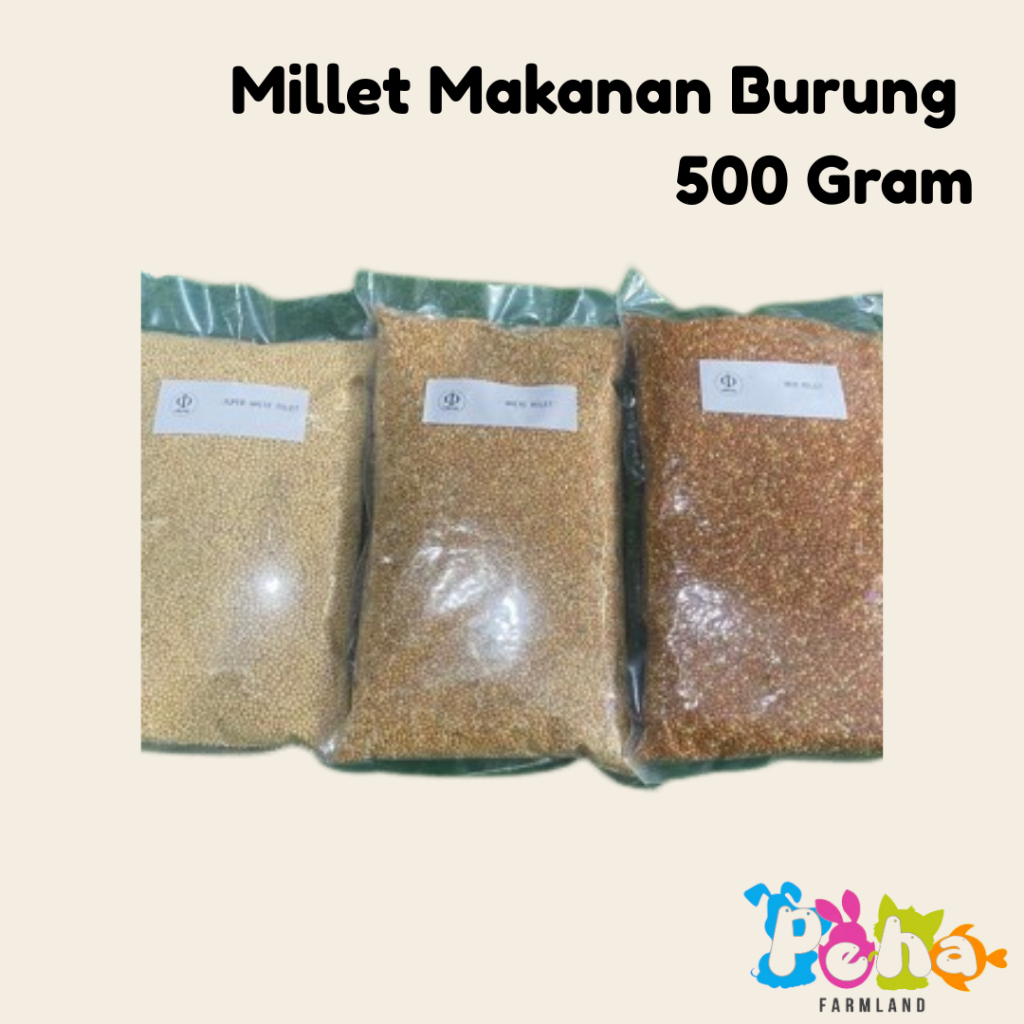 Harga Milet Putih Makanan Burung Terbaru Jun 2026 | BigGo Indonesia
