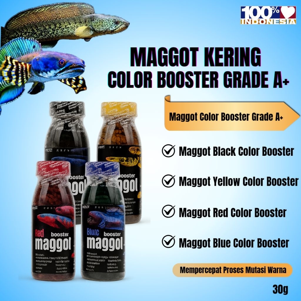Harga Maggot RED Barito Terbaru Des 2025 | BigGo Indonesia