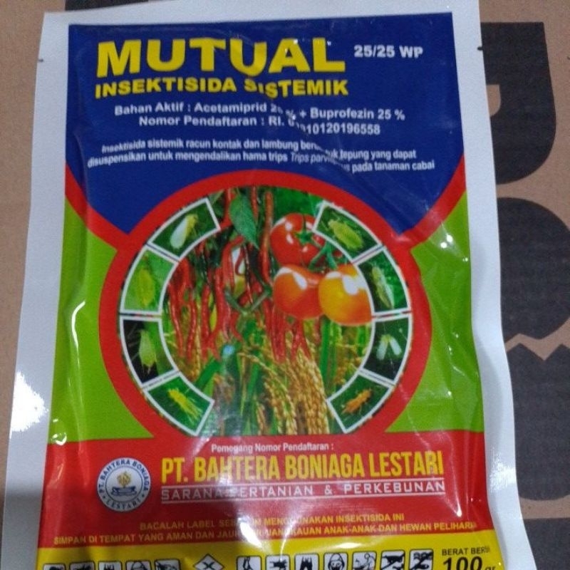 Harga Mutual 25 25 WP Terbaru Agt 2025 | BigGo Indonesia