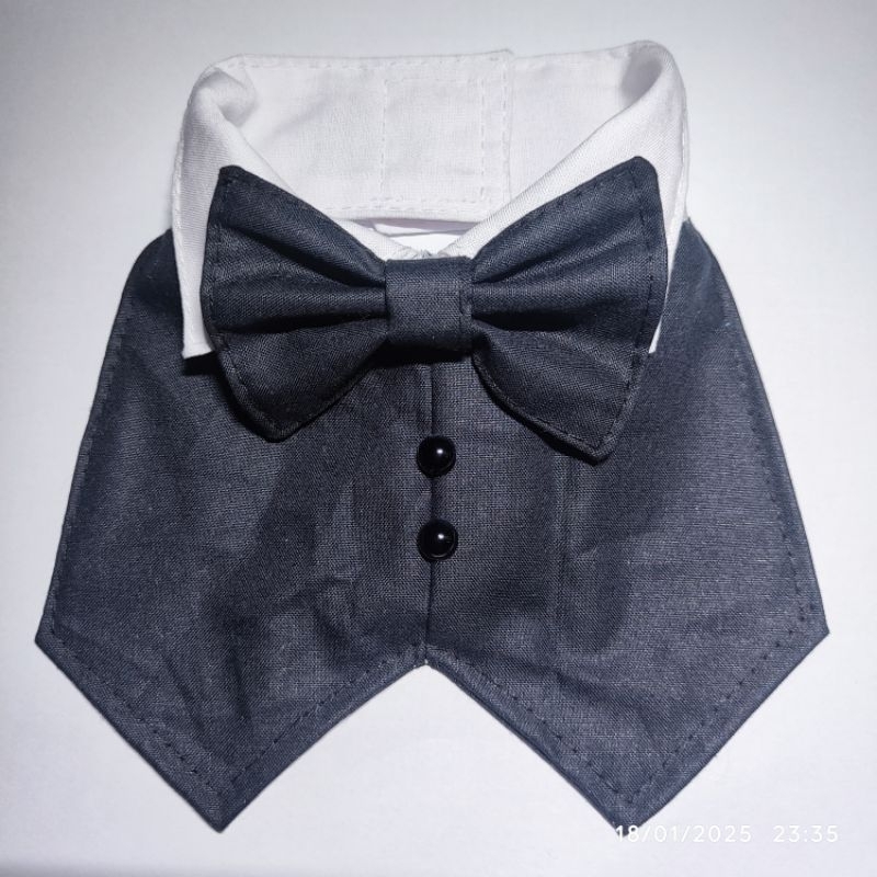 Harga tuxedo kucing Terbaru Jun 2026 | BigGo Indonesia