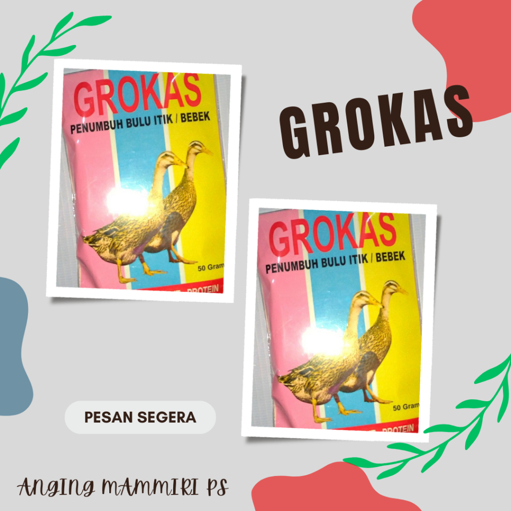 Harga grokas Terbaru Okt 2024 |BigGo Indonesia