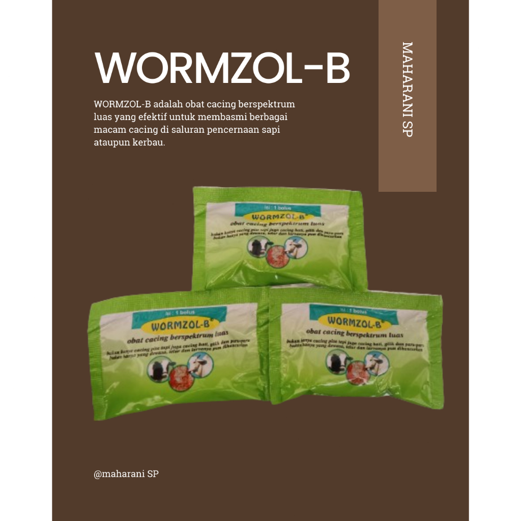 Harga Wormzole Terbaru Mei 2025 | BigGo Indonesia