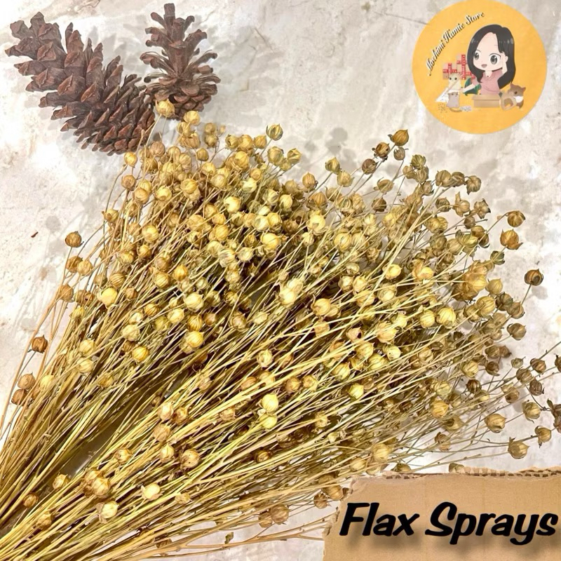 Harga flax sprays Terbaru Des 2024 |BigGo Indonesia