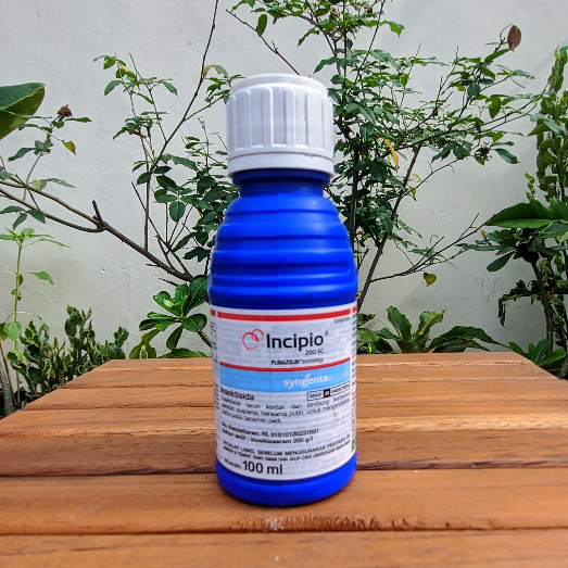 Harga incipio 100ml original Terbaru Jun 2026 | BigGo Indonesia