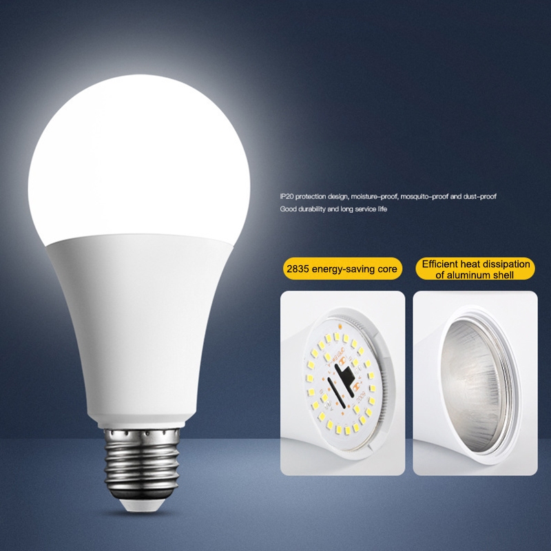 Harga Polypropylene Container Terbaru Nov 2025 | BigGo Indonesia